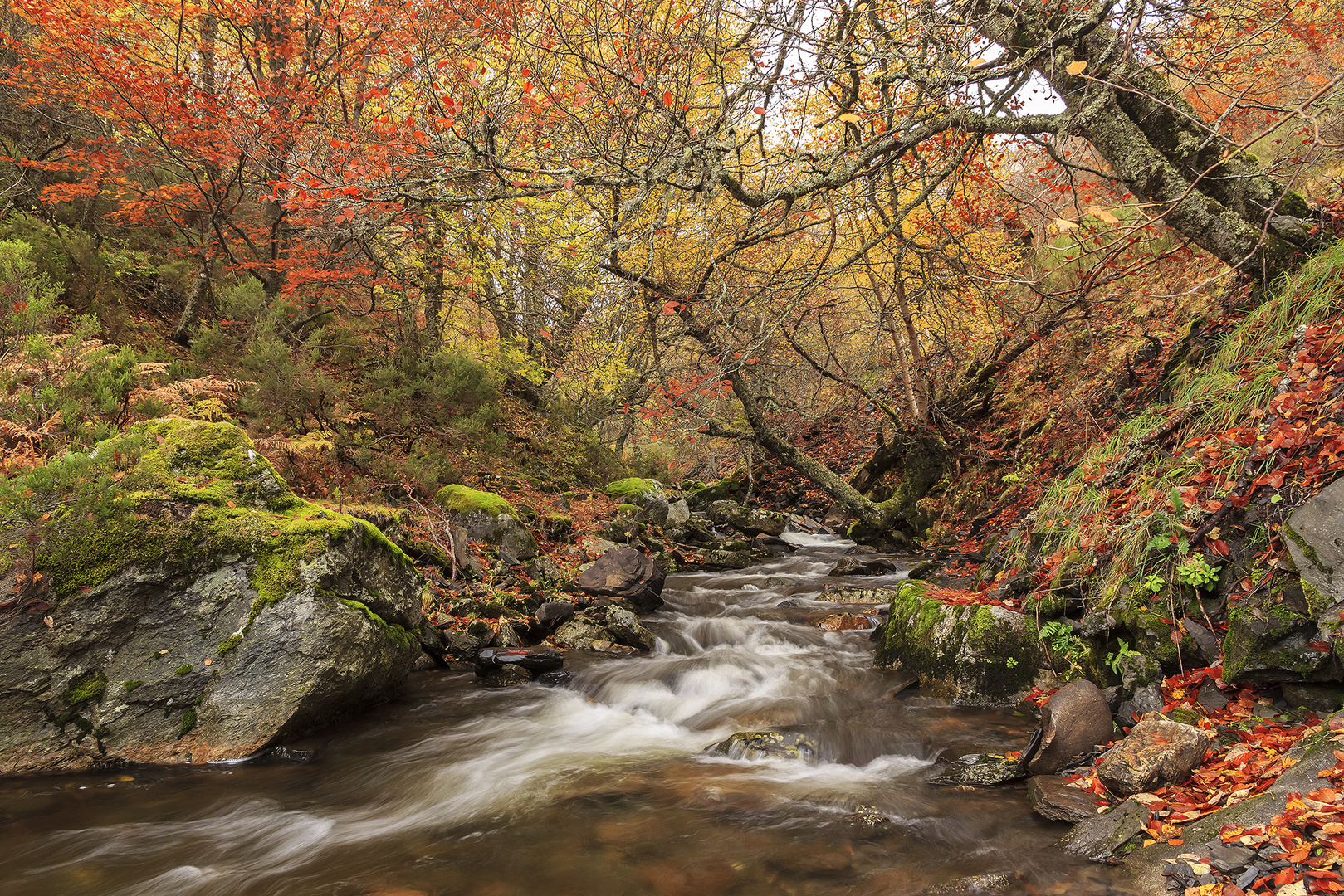 Monasterio de Hermo. Imagen & Foto | paisaje, tree, river Fotos de ...