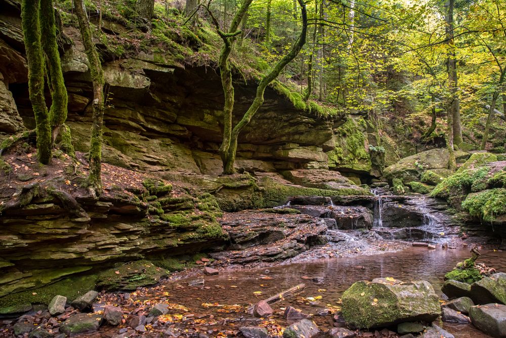 Monbachtal Foto & Bild | deutschland, europe, jahreszeiten Bilder auf ...