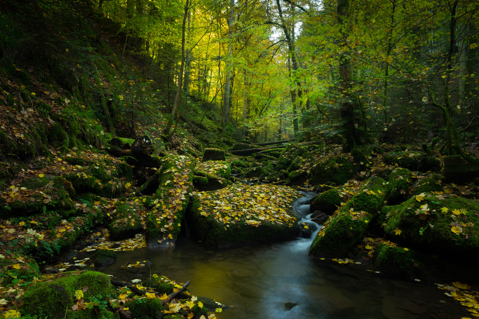 Monbachtal Schwarzwald Foto & Bild | landschaft, bach, fluss & see ...