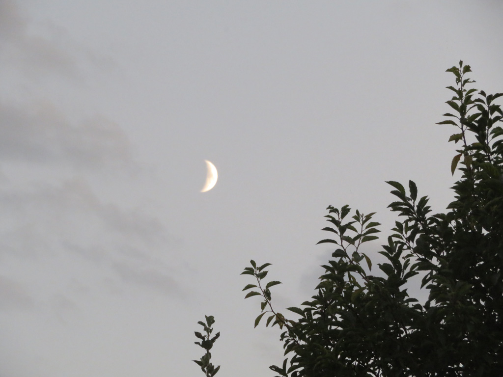 Mond Foto & Bild | himmel, stimmungen, himmel, natur Bilder auf fotocommunity