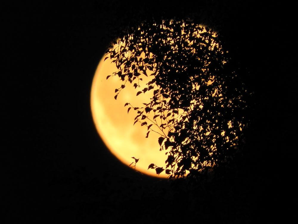Mond Foto & Bild | mond, abend, natur Bilder auf fotocommunity