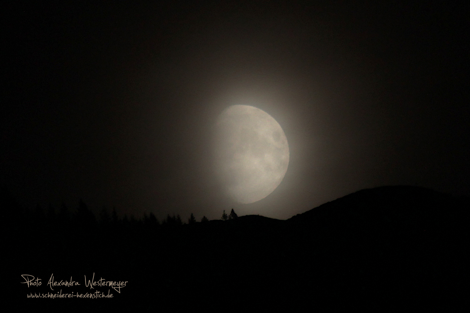 Mondaufgang in den Alpen Foto & Bild | fotos, bäume, himmel Bilder auf ...