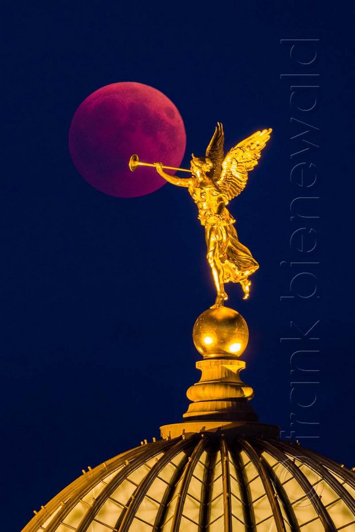 Mondfinsternis Foto & Bild | natur, dresden, mond Bilder auf fotocommunity