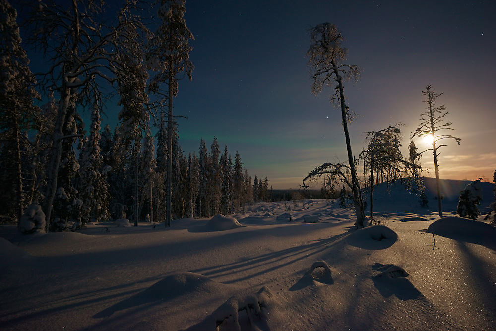 Mondschein Foto & Bild | landschaft, naturlandschaft bei nacht, kalt Bilder auf fotocommunity