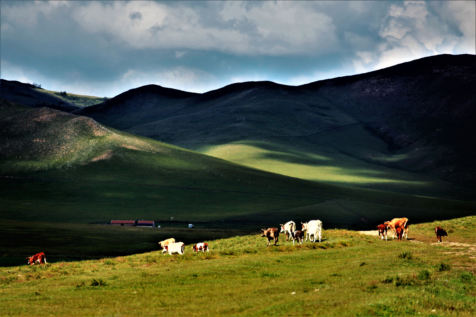 Mongolian Nature Wallpaper