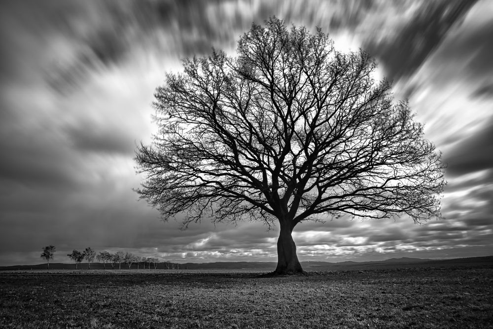 Mono Tree Foto & Bild | natur-kreativ, aufnahmetechniken, wolken Bilder ...