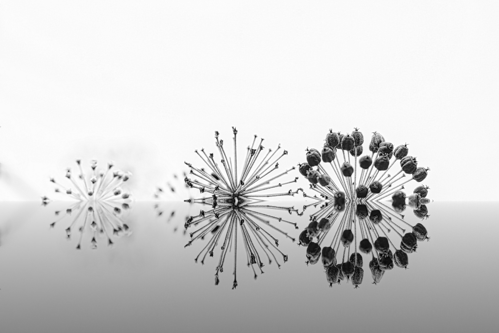 Monochrom Foto & Bild | projekte, 5 - schwarzweißer freitag, thementage Bilder auf fotocommunity