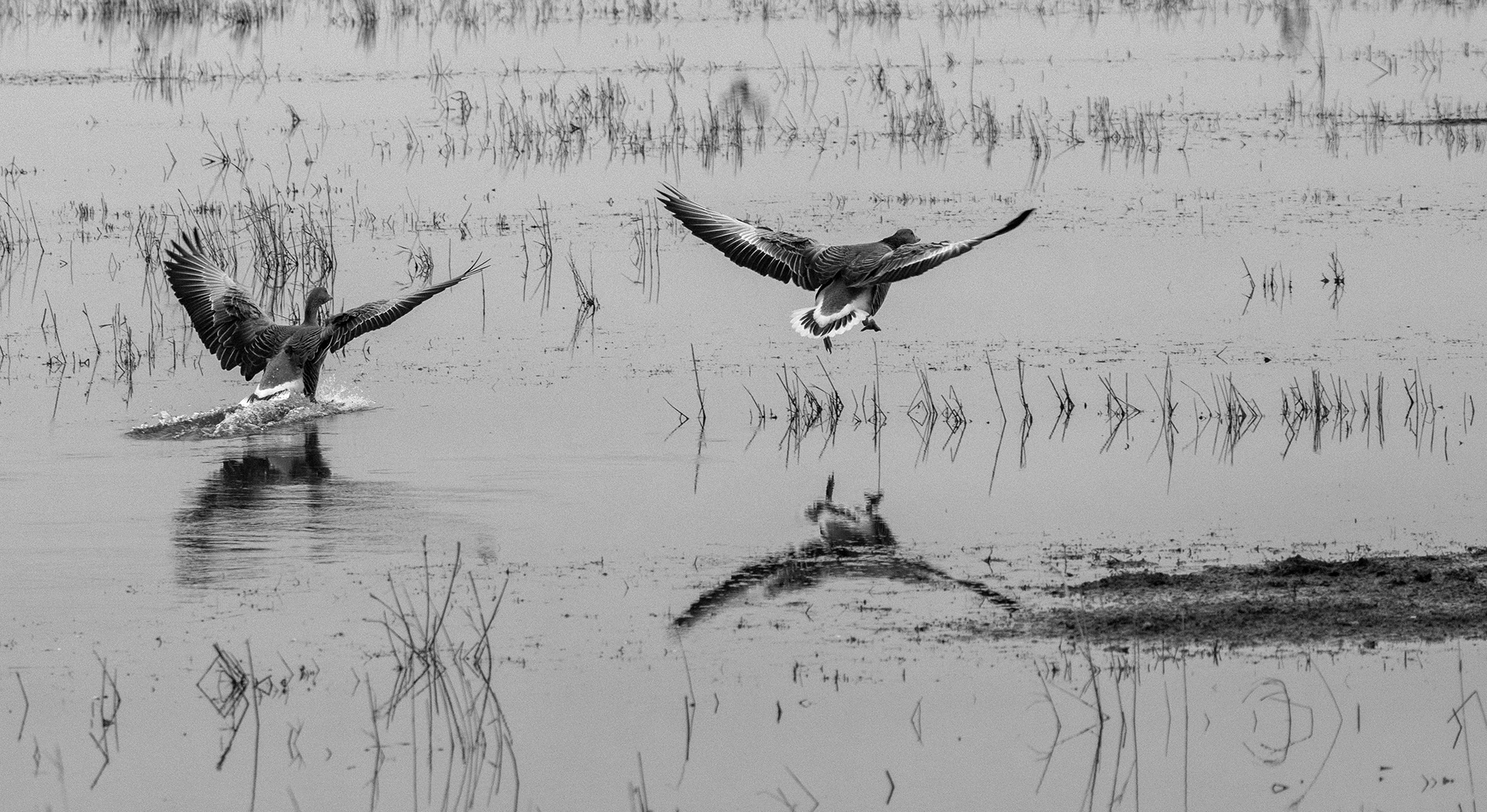 Monochrom Foto & Bild | jahreszeiten, winter, projekte Bilder auf fotocommunity