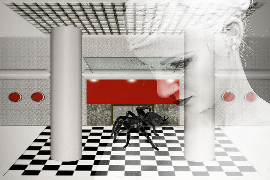 Montage mit Spider Foto & Bild | portrait, reportage, spinne Bilder auf ...