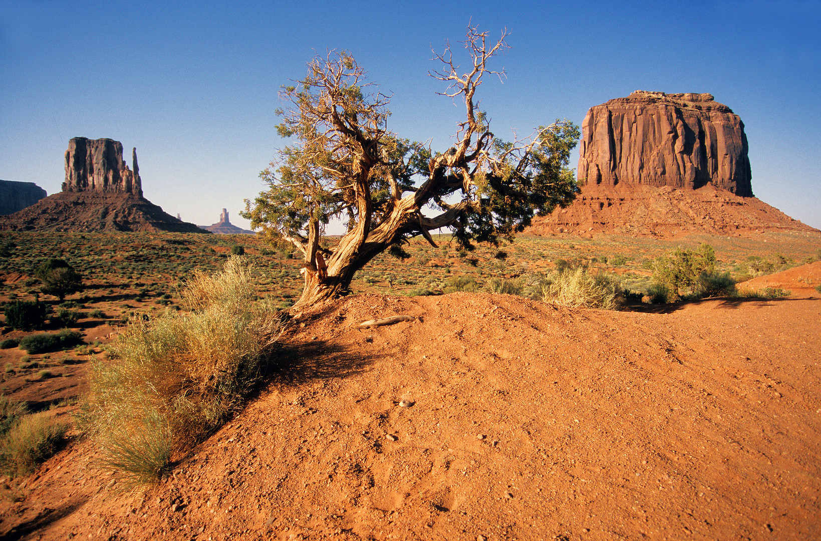 Monument Valley mit Merrick Butte, Navajo County, Arizona, USA Foto ...