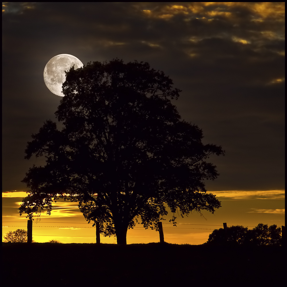 ~ Moon ~ Foto & Bild | deutschland, europe, nordrhein- westfalen Bilder ...