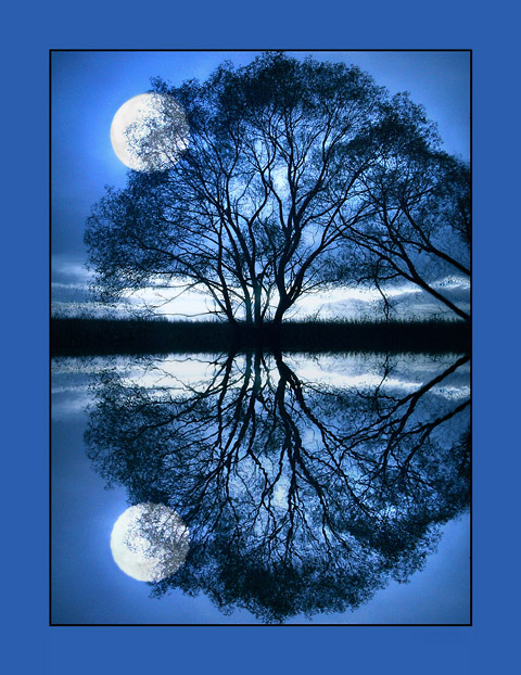 Moonlight Dream Foto & Bild | archiv digitalphoto, 01 05 moonlight ...
