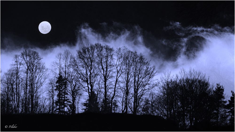 Moonlight Shadow Foto & Bild | landschaft, naturlandschaft bei nacht ...