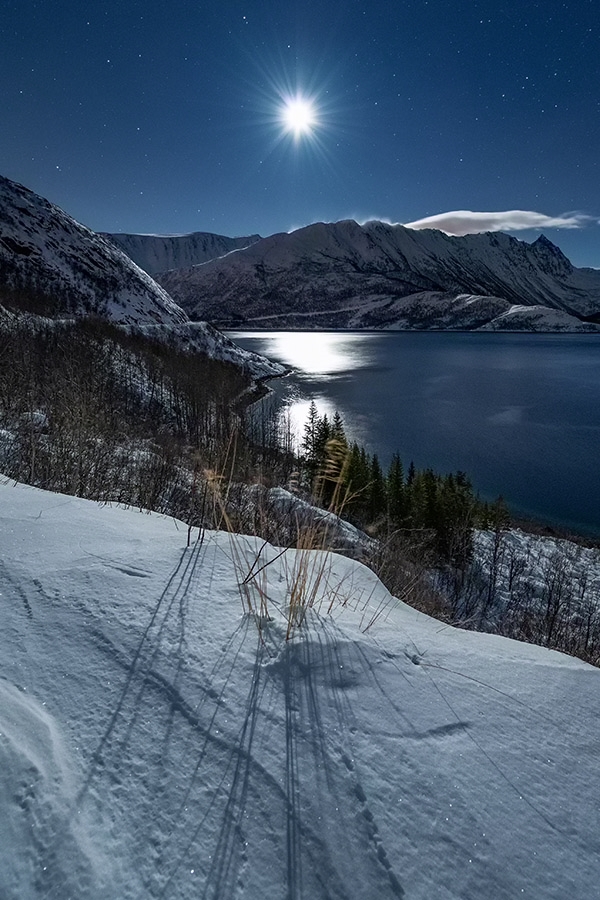 Moonlit winter fjord / Mondbeleuchtetes Winterfjord Foto & Bild ...