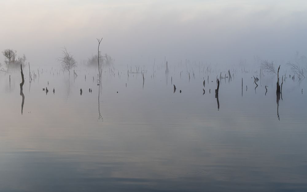 moor____________ Foto & Bild | landschaft, moor, wasser Bilder auf ...