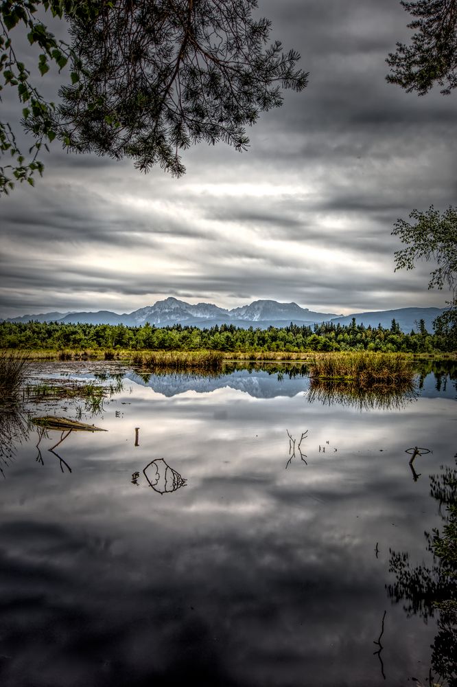 Moor Foto & Bild | fotos, natur, hdr Bilder auf fotocommunity