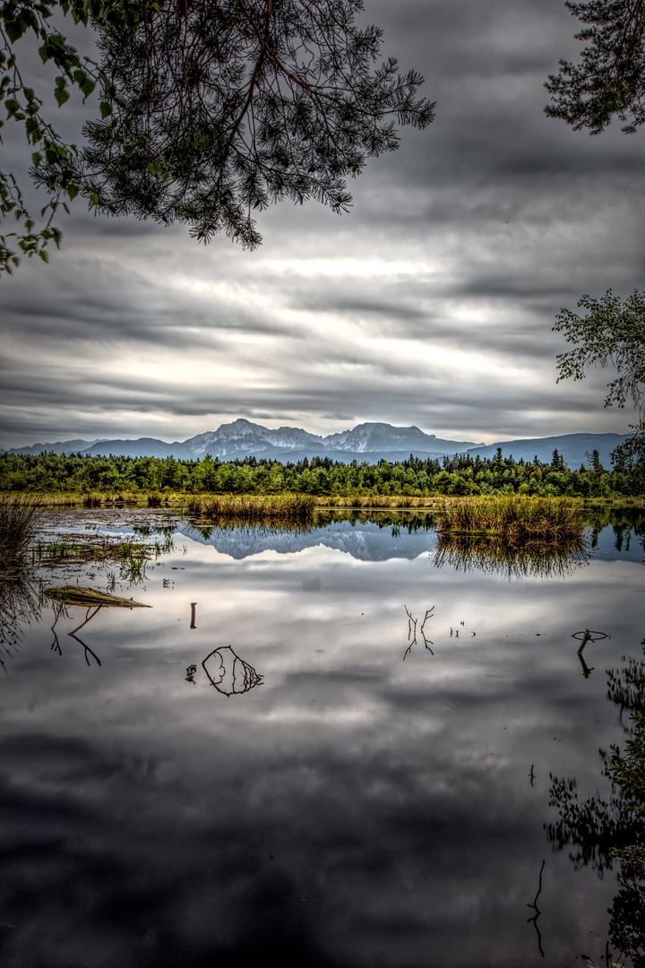 Moor Foto & Bild | fotos, natur, hdr Bilder auf fotocommunity