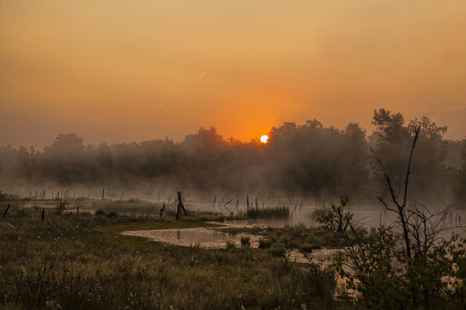 Moor Foto & Bild | landschaft, moor, sonnenaufgang Bilder auf fotocommunity