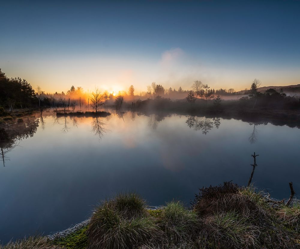 Moor Foto & Bild | fotos, bäume, himmel Bilder auf fotocommunity