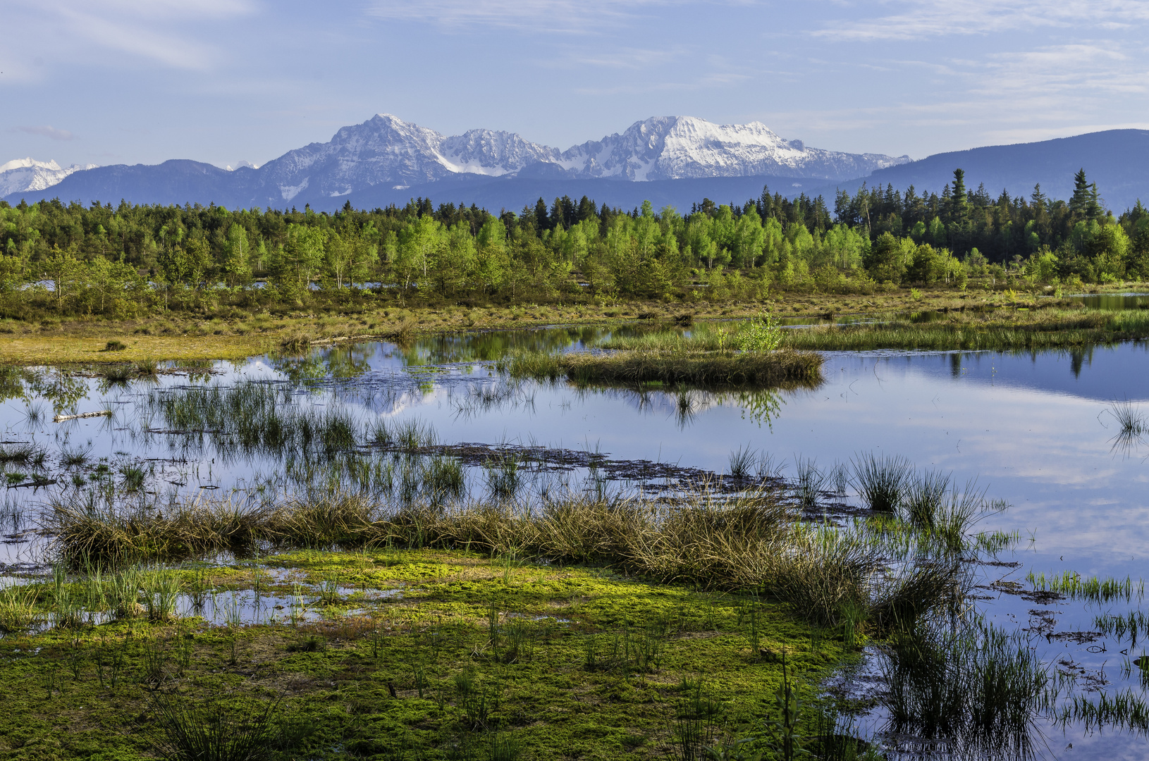 Moor Landschaft Foto & Bild | landschaft, lebensräume, licht Bilder auf ...