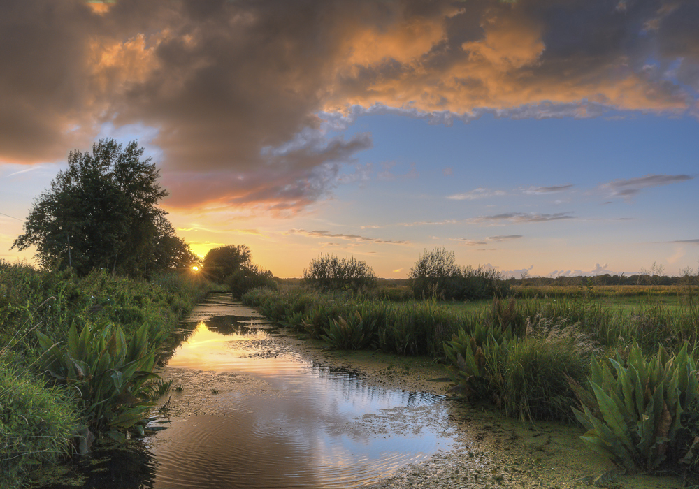 Moorgraben Foto & Bild | archiv projekte naturchannel ...