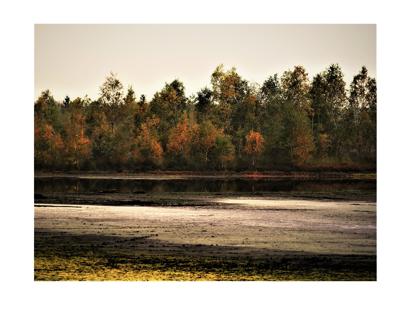 Moorlandschaft (1) Foto & Bild | natur, herbst, landschaft Bilder auf ...