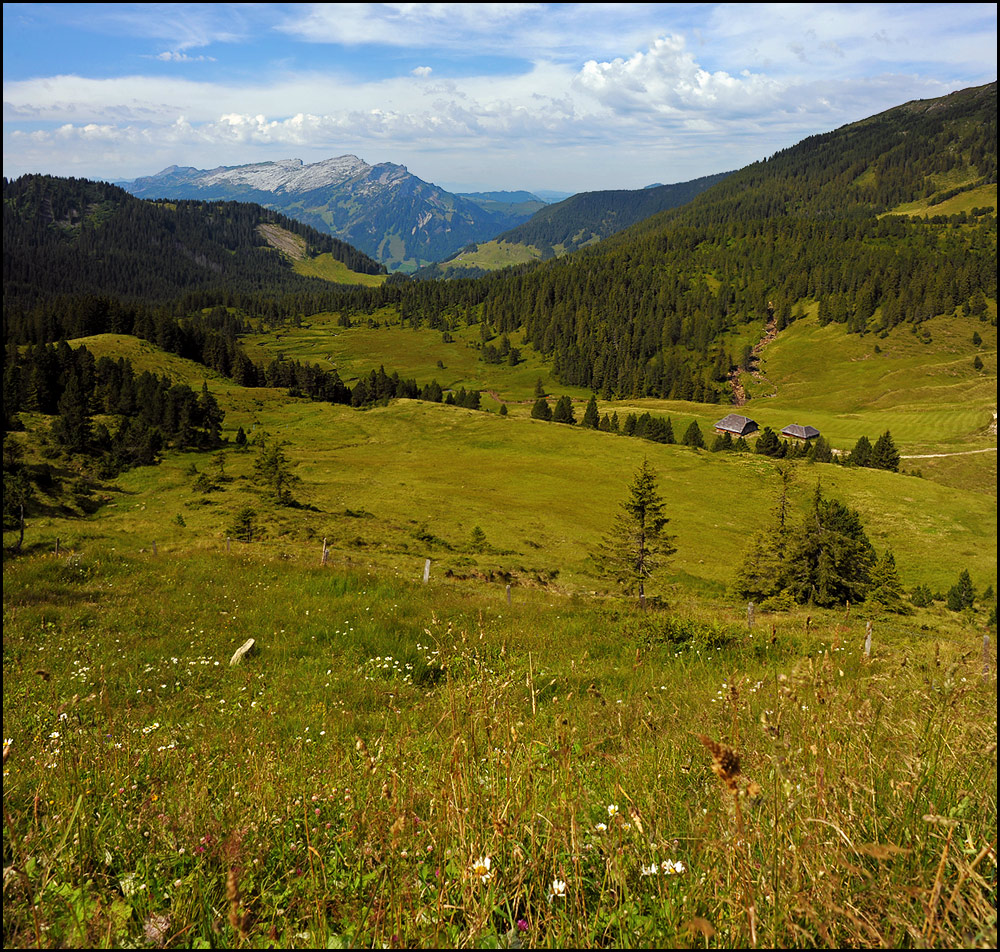 Moorlandschaft Foto & Bild | europe, schweiz & liechtenstein, kt ...