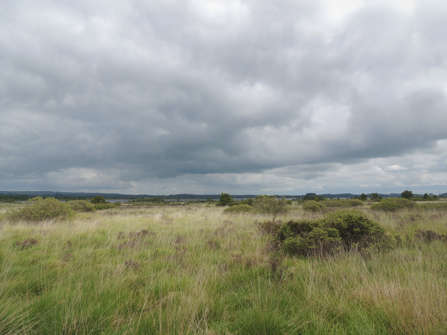 Moorlandschaft Foto & Bild | landschaft, moor, landschaften Bilder auf ...