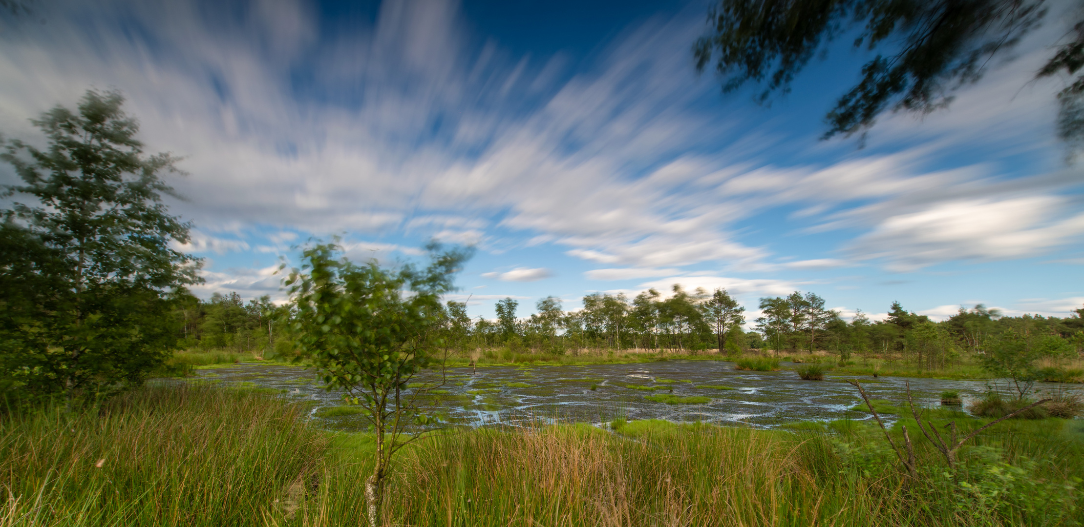 Moorlandschaft Foto & Bild | landschaft, moor, himmel Bilder auf ...
