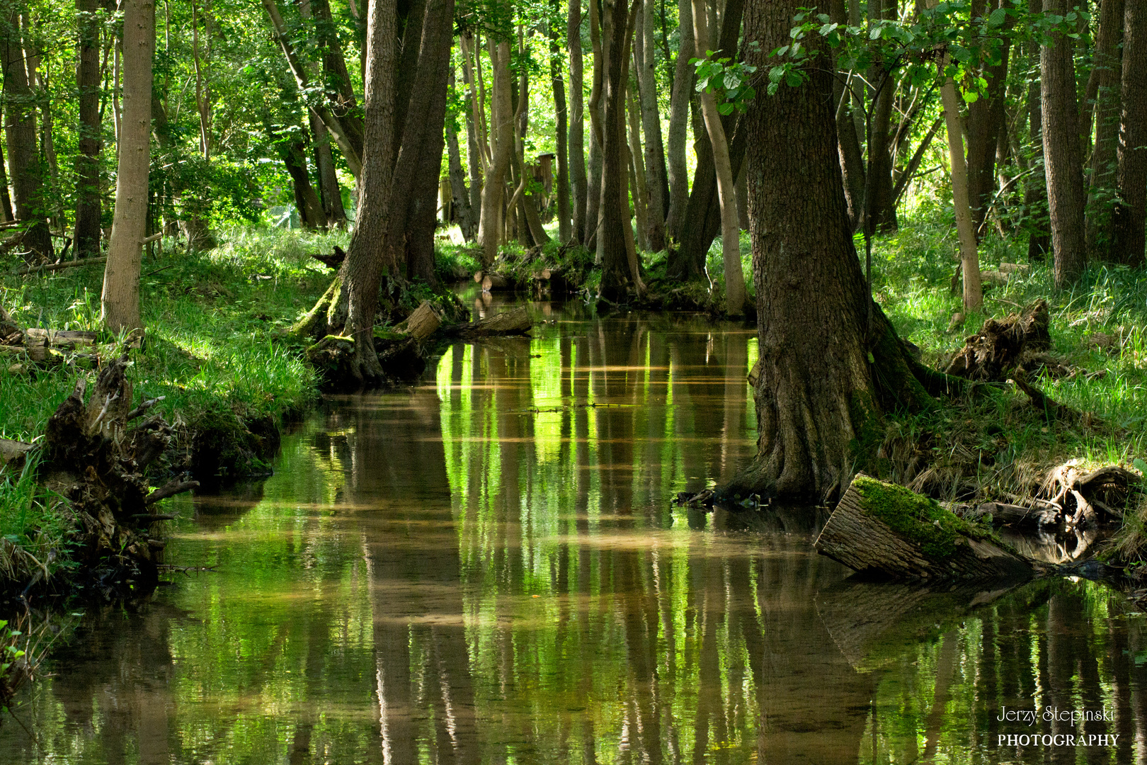 Moorlandschaft in der Märkischen Schweiz. Foto & Bild | landschaft ...