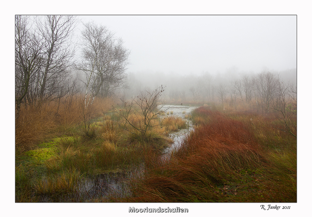 Moorlandschaften 1 Foto & Bild | landschaft, moor, osterholz-scharmbeck ...