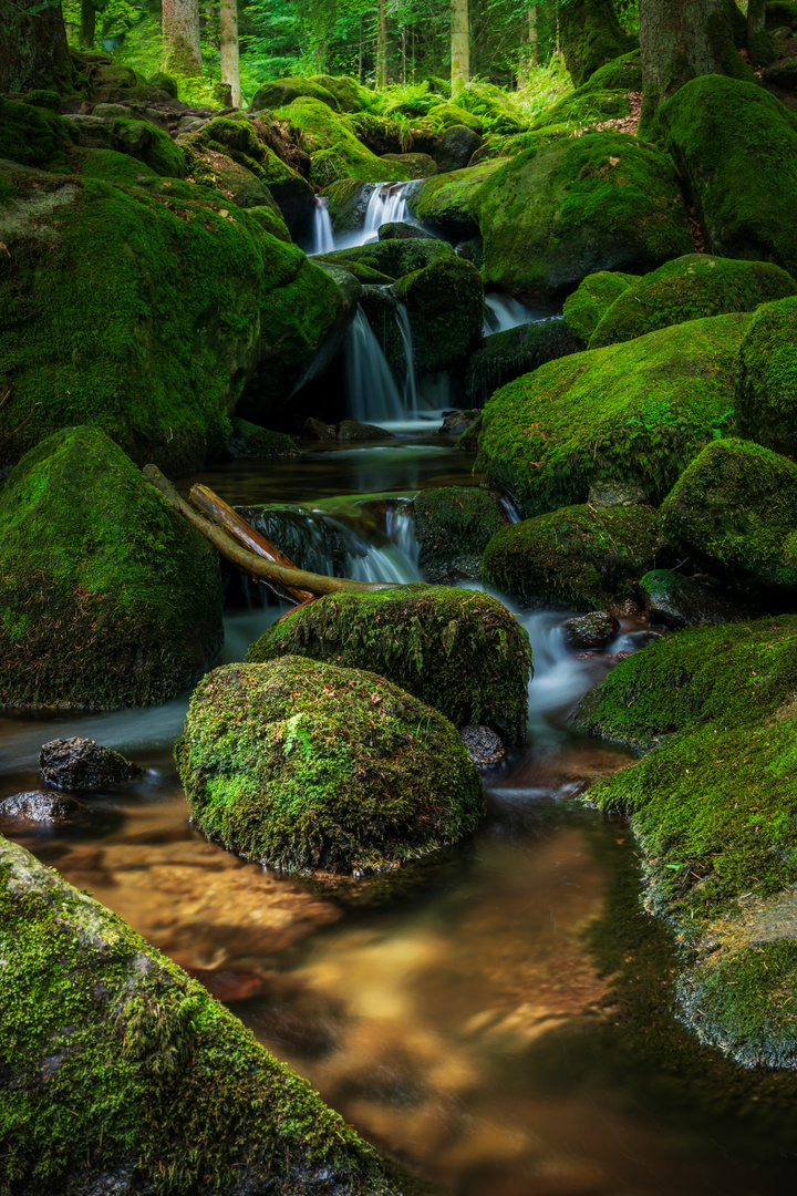 Moos und fließendes Wasser gehen immer Foto & Bild | landschaft, bach ...