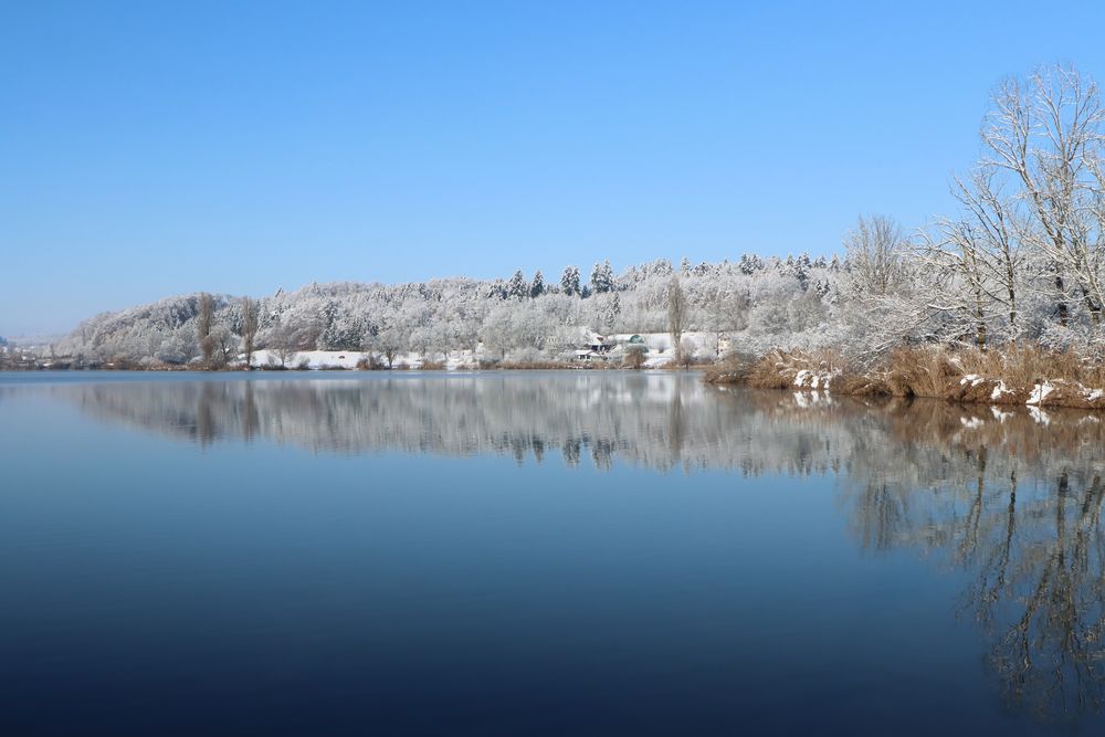 Moossee Foto & Bild | landschaft, jahreszeiten, winter Bilder auf fotocommunity