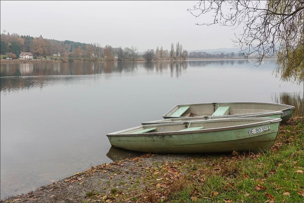 Moossee, Seerose Foto & Bild | am wasser, ruderboote, daniel streit ...