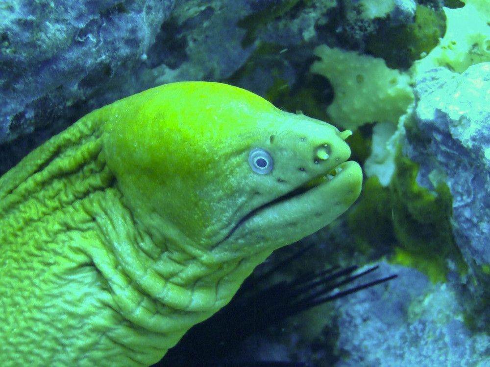 Moräne Foto & Bild | pics-by-me, natur Bilder auf fotocommunity