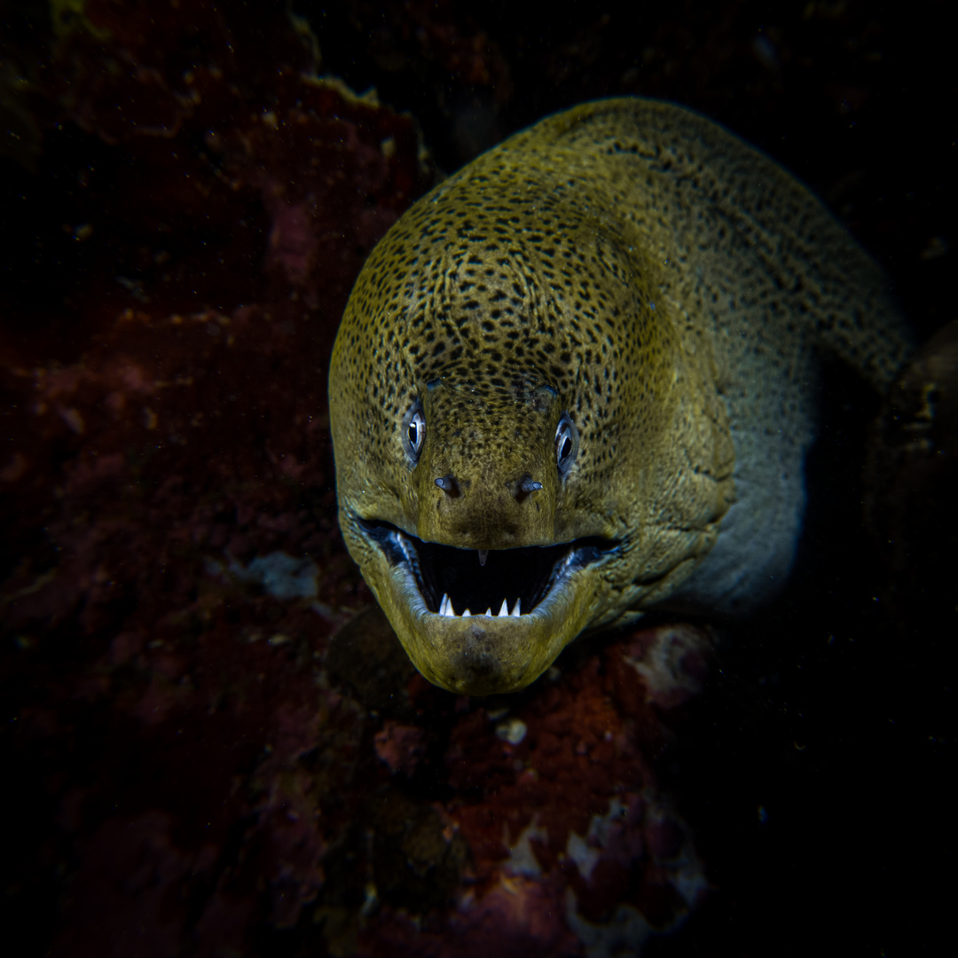 Moräne (Rotes Meer) Foto & Bild | wasser, natur, see Bilder auf ...