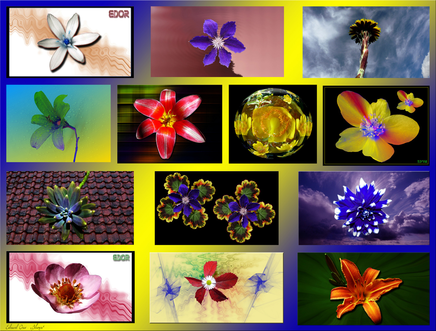 More Foto & Bild | bearbeitungs - techniken, filtertechniken, fotos Bilder auf fotocommunity