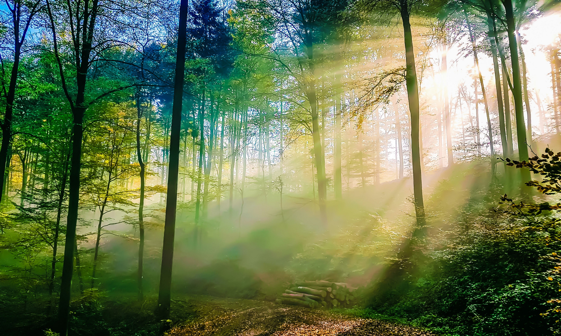 Morgen Foto & Bild | natur und licht Bilder auf fotocommunity