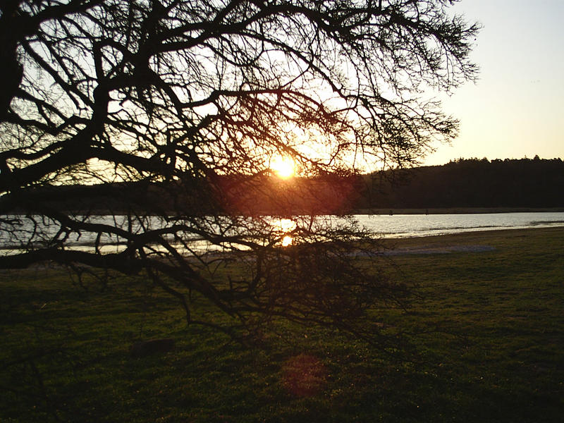 Morgen Foto & Bild | sonnenaufgänge, himmel & universum, natur Bilder ...