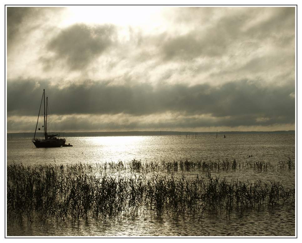 Morgenlicht am Müritzsee Foto & Bild | deutschland, europe, mecklenburg ...