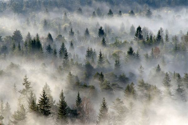 Thomas Keilig - Fotos & Bilder - Fotograf | fotocommunity