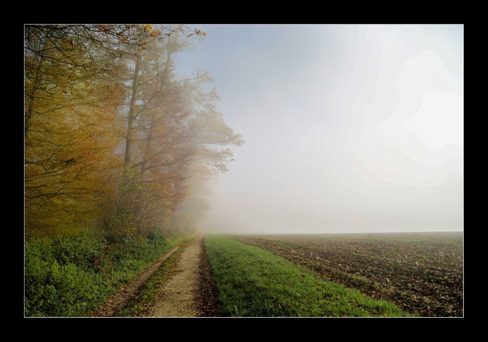 Morgennebel Foto & Bild | landschaft, jahreszeiten, herbst Bilder auf fotocommunity