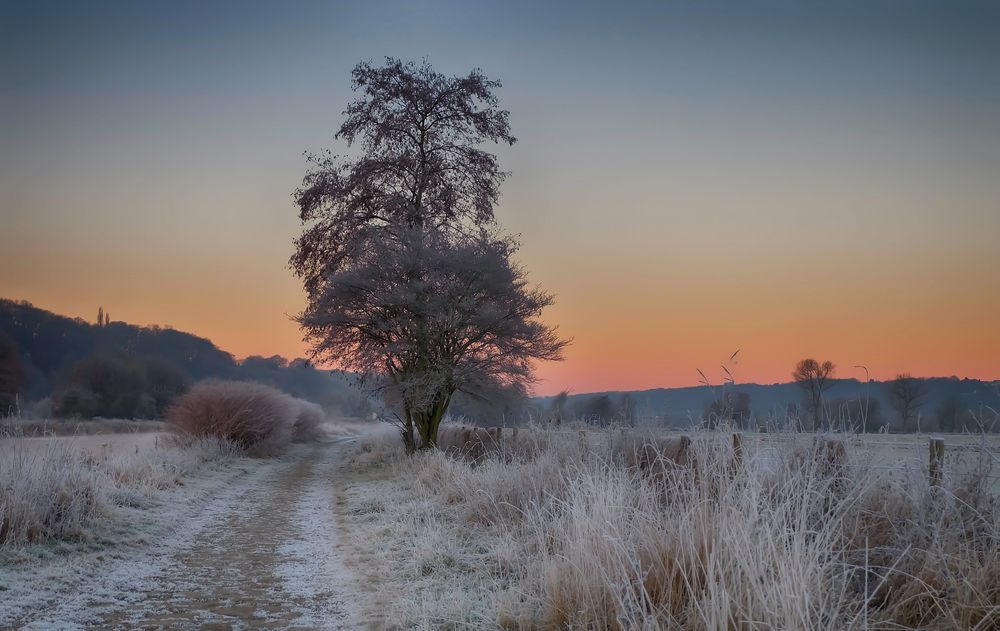 Morgenrot Foto & Bild | landschaft, jahreszeiten, winter Bilder auf fotocommunity