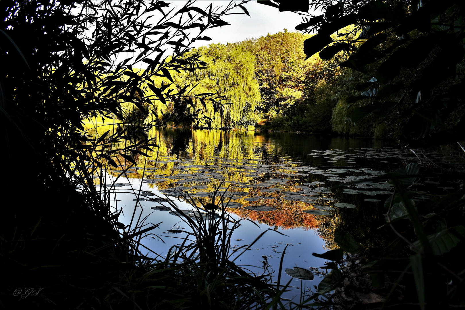 Morgens am See Foto & Bild | landschaft, projekte, bach, fluss & see ...