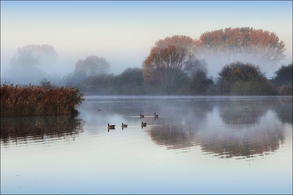 Morgens am Teich Foto & Bild | jahreszeiten, herbst, landschaften Bilder auf fotocommunity