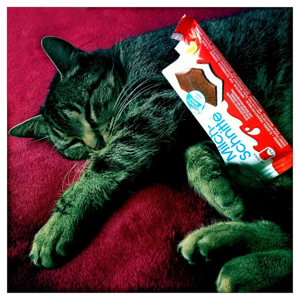 morgens halb 10 in Deutschland (062/365) Foto & Bild | emotionen, zufriedenheit, liebes tagebuch ...