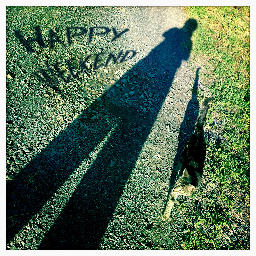 morgens halb 10 in Deutschland (173/365) Foto & Bild | gratulation und feiertage, wünsche ...