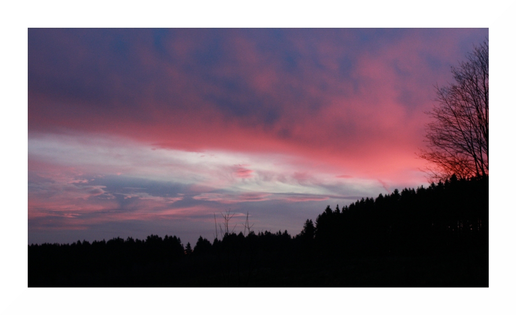 Morgens halb Acht Foto & Bild | landschaft, rückkehr der natur, natur ...