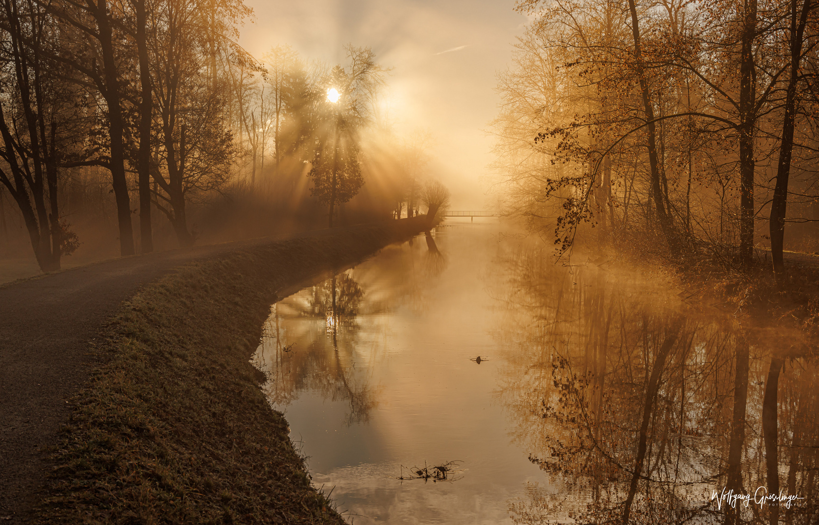 Morgens im Nebel Foto & Bild | landschaft, jahreszeiten, winter Bilder ...