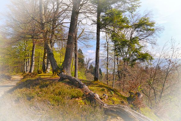 Merkli Peter - Fotos & Bilder - Fotograf aus Dättwil, Schweiz ...